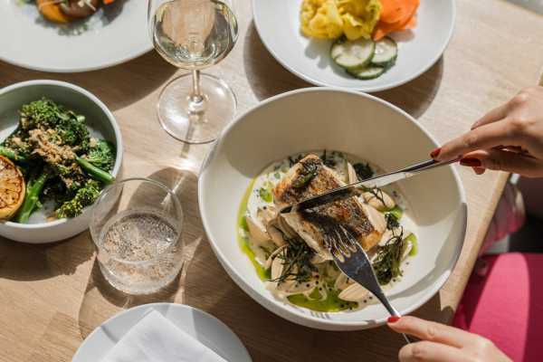 INTRODUCING GORSE | Tonic